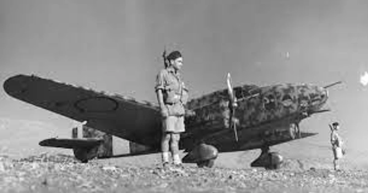 Caproni CA 309
