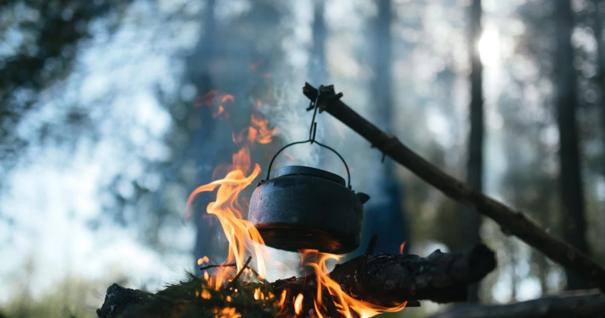 20 Primitive Cooking Methods To Use When In Survival Mode